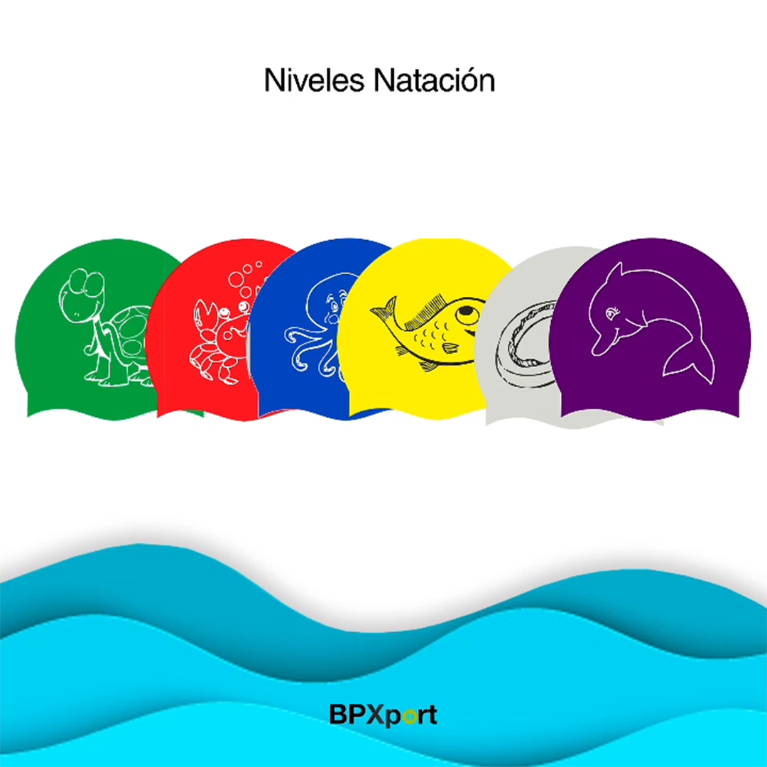 Aprendiendo a nadar: La escuela evolutiva de natación BPX - BPXport